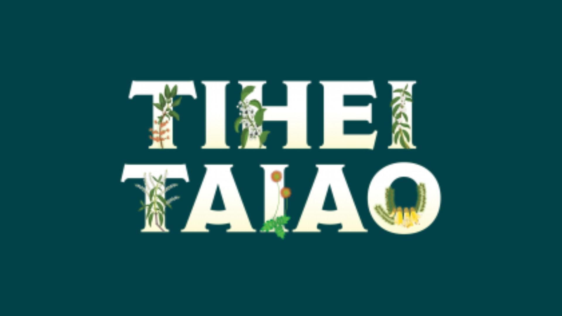 Tihei Taiao Resources By NZAEE tihei-taiao-resources-by-nzaee